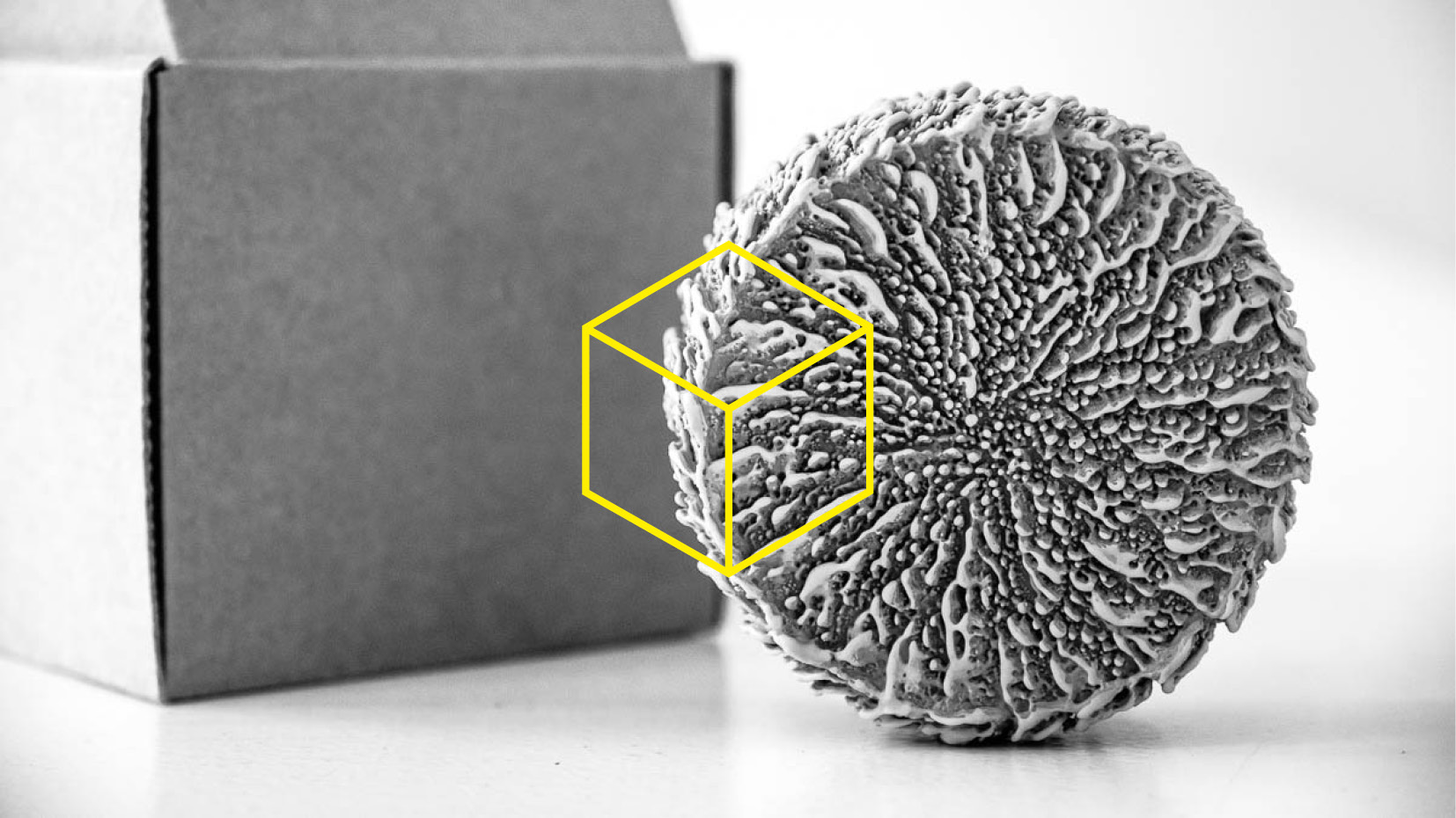 PYXIS – LIVING IN A BOX – COLLECTION OF ARTEFACTS 2021/2022